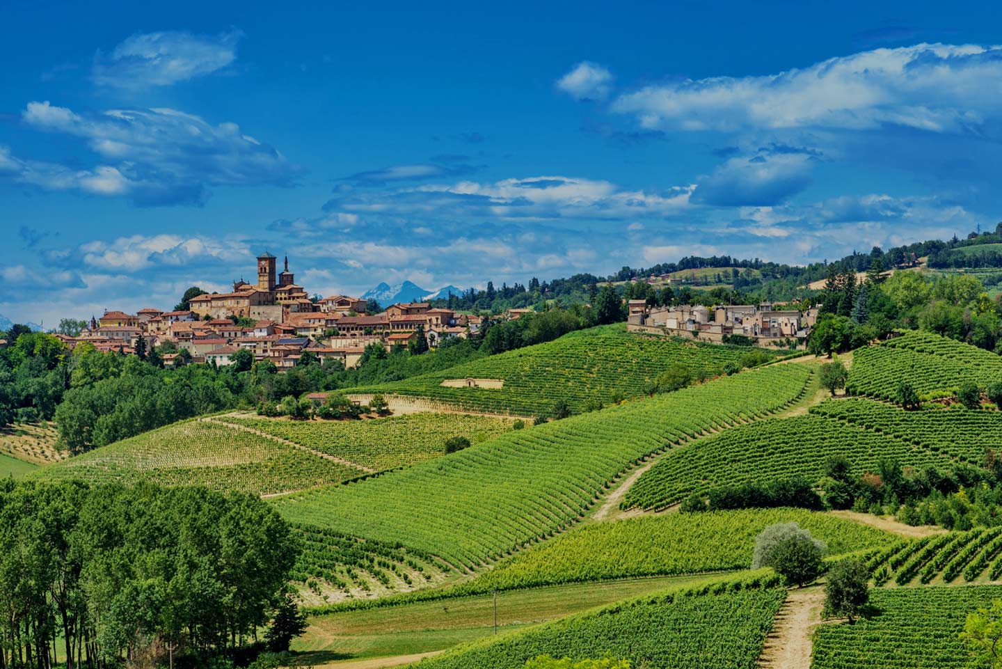 Associazione Italiana Sommelier AIS Piemonte - La cultura del vino