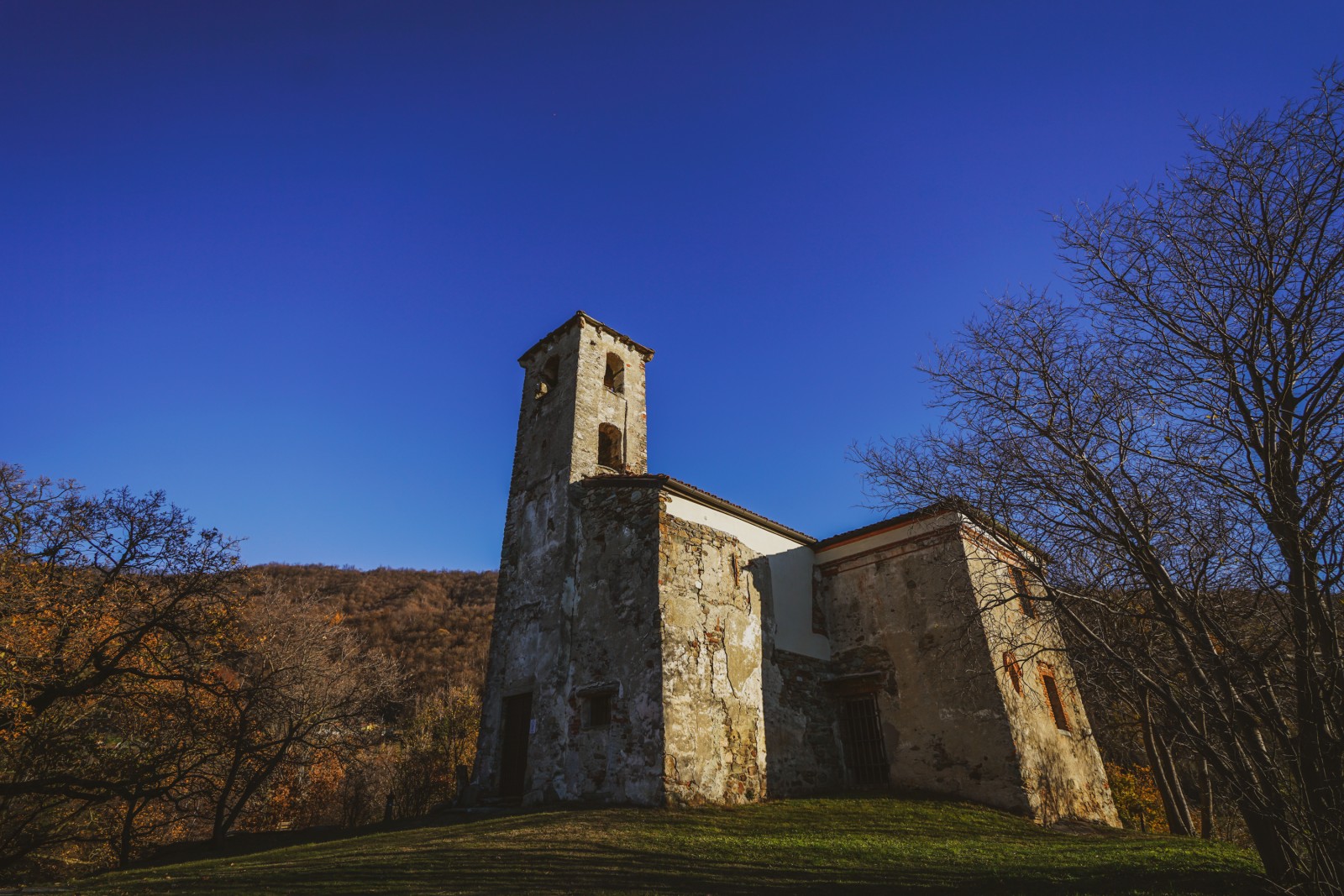Arte e gastronomia: tra le vigne del Canavese - AIS Piemonte