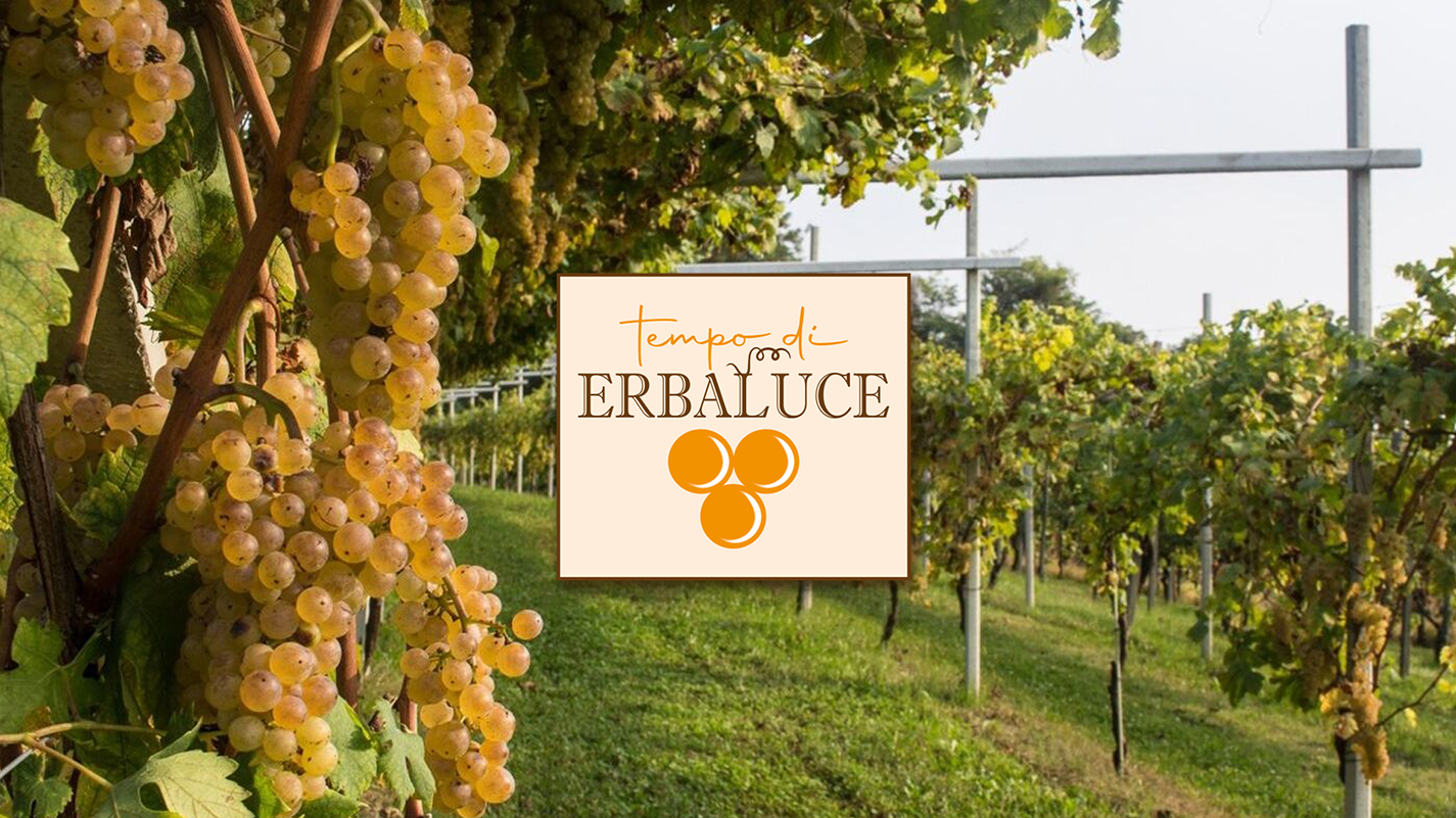 Erbaluce Metodo Classico: bollicine subalpine - AIS Piemonte