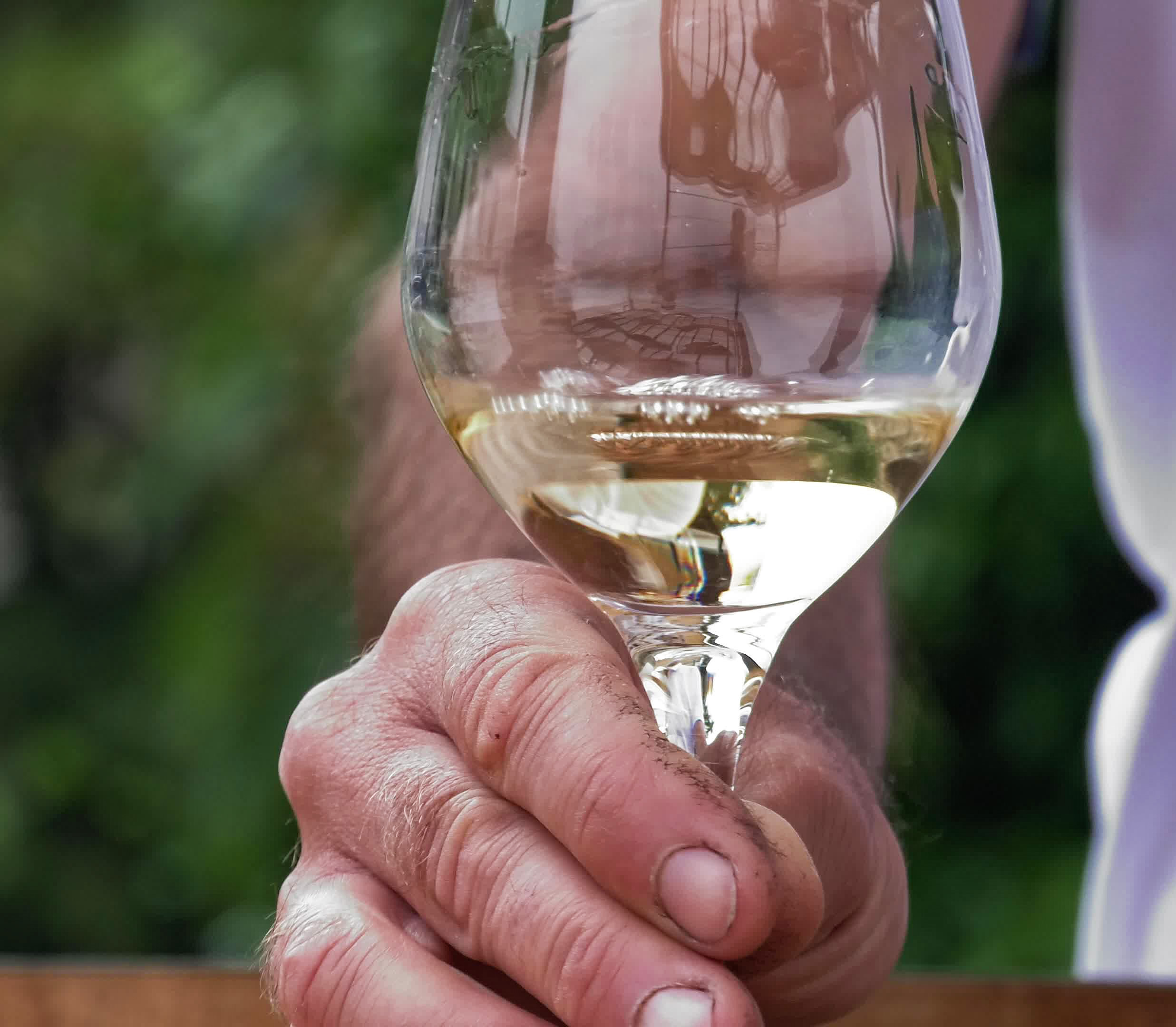 Retrospettiva Nascetta 2010 – 2020 - AIS Piemonte